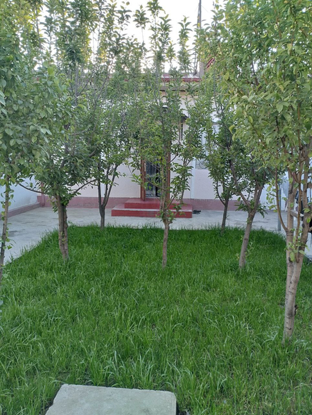 Срочно! Продажа. 3 ком, 2 сот. Чингилди.
