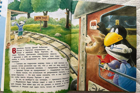 Истории о Вороненке, или Правила отменяются