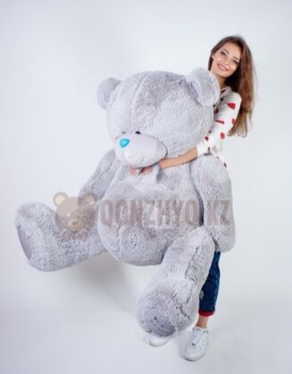 Teddy Teddi 1+1 OPTOM DOKON