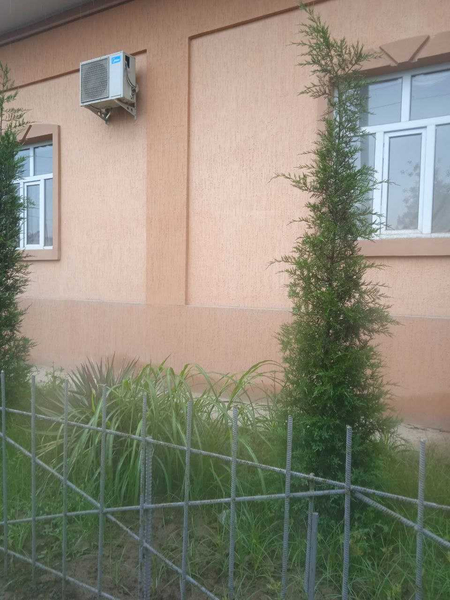 olim polvon orqasi 8sotix sotiladi yol yuzida joylashgan yolga yaqin