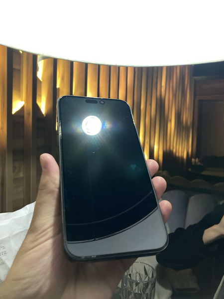 iPhone 15 Pro Max 256gb LL/A
