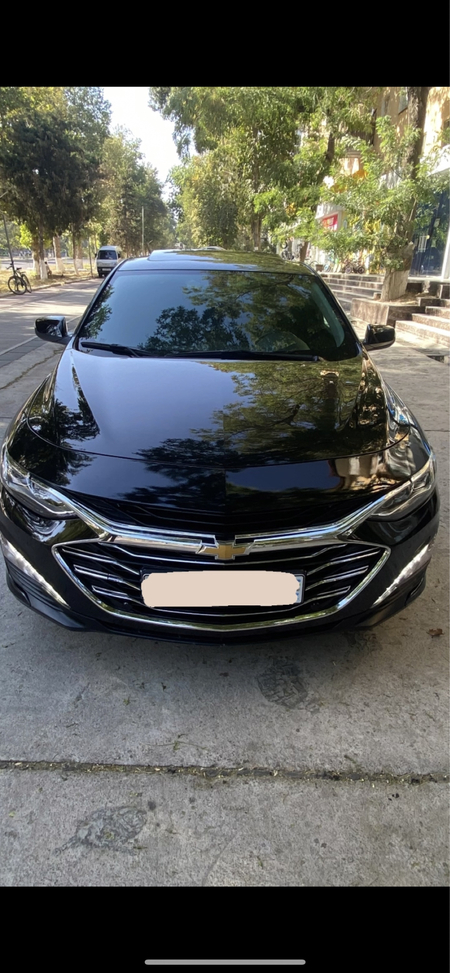 Malibu Premier 2021