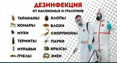 Дезинфекция Гарантия!!