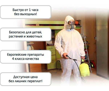 Уничтожение тараканов, блох, клопов, Дезинфекция dezinfeksiya klapa