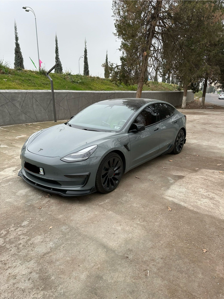Tesla Model 3 Performance