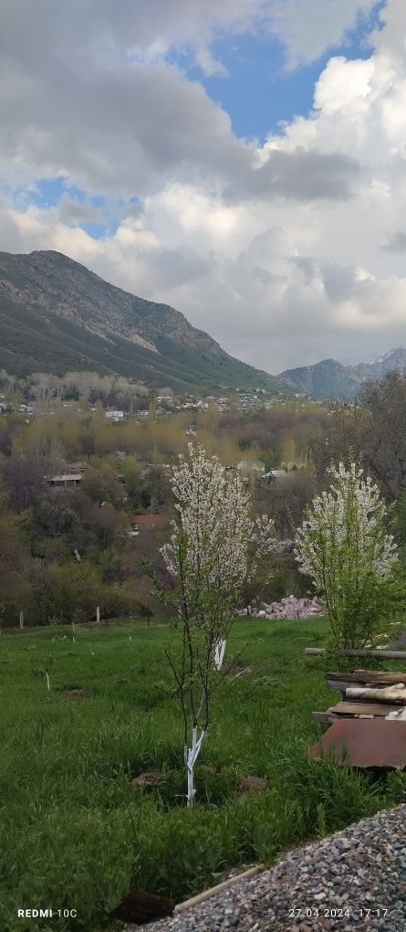 Продается дом в Чимгане