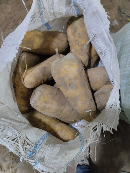 Йириг сарик сабзи.ошга зорррр