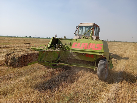 Traktor mtz 80 Belarus. Prespodborshik Markant 55. 2 TASI HAM SOTILADI