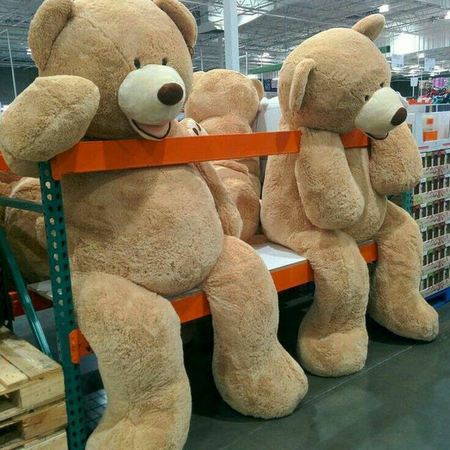 Teddy  ayiqchalar