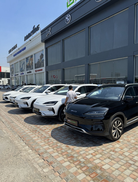 Byd chempion Honor 605 km 2024 Servis Garantiya bor Sergili