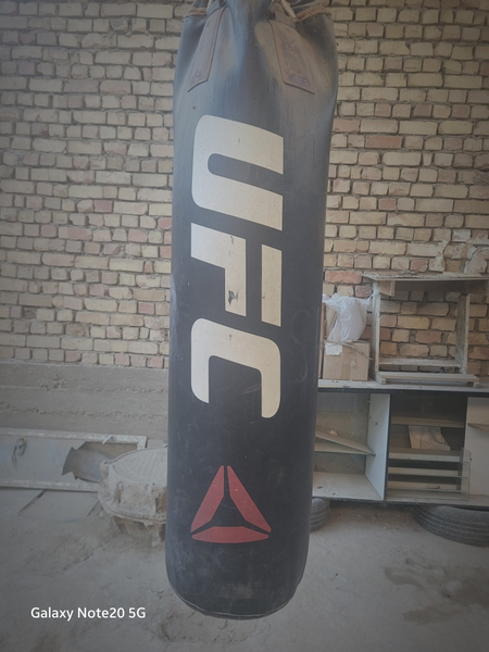 Mishok ufc. Mishka ufc