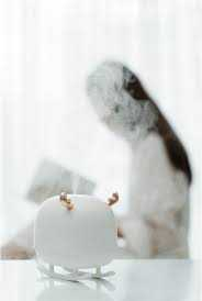 Мини увлажнитель воздуха Sothing Deer Humidifier&Light