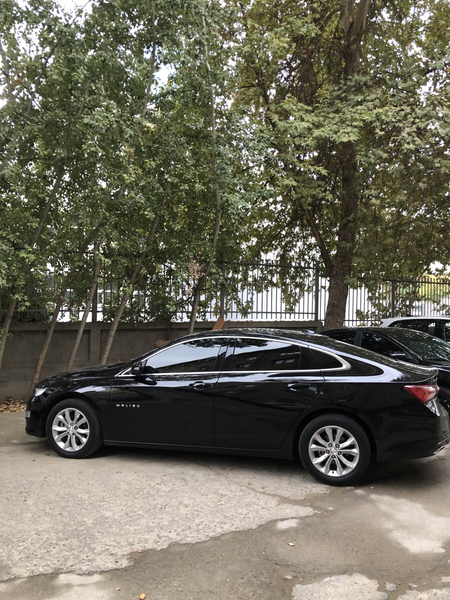 Malibu premier 2021 top toza