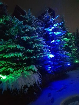 Дача в чимгане отличный вид природы бассейном