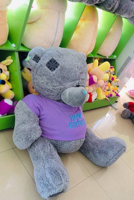 Teddy teddi original xitoy