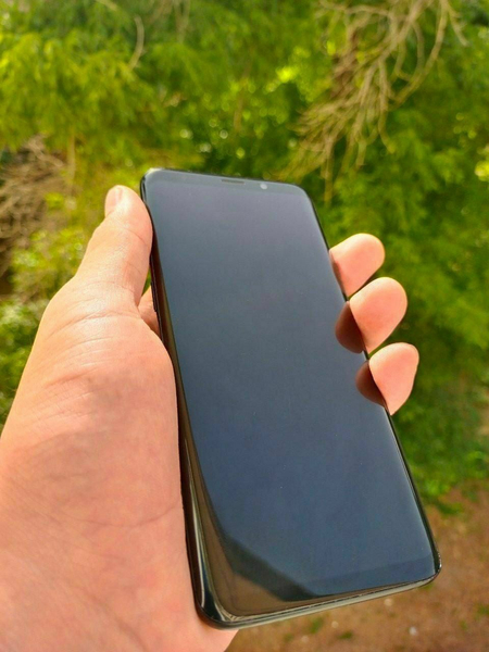 Samsung Galaxy S9 plus ideal hamma joyi rodnoy