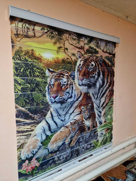 Жалюзи_ Jalyuzi_Best Blinds kafolat va sifat bizda