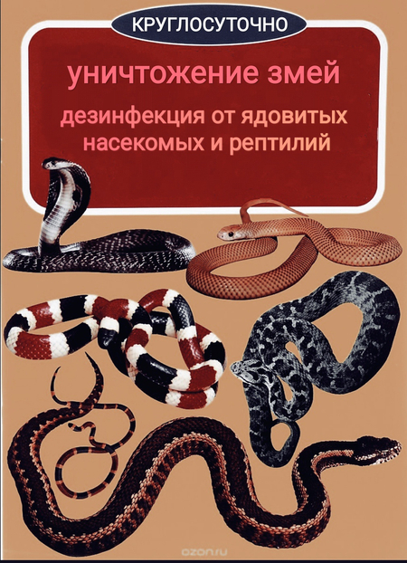 Дезинфекция от змея змей