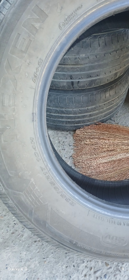 Nexen balon kafolati bn