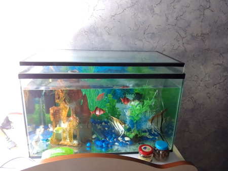 Akvarum 30 litr kamplekt