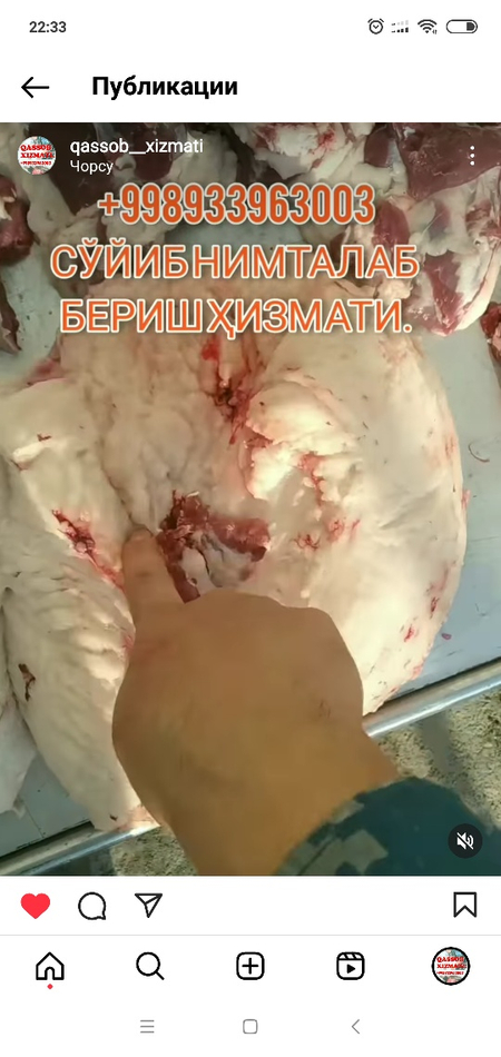 Qassob Кассоб Қассоб ҳизмати.