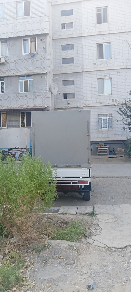 Дамас лабо килинган