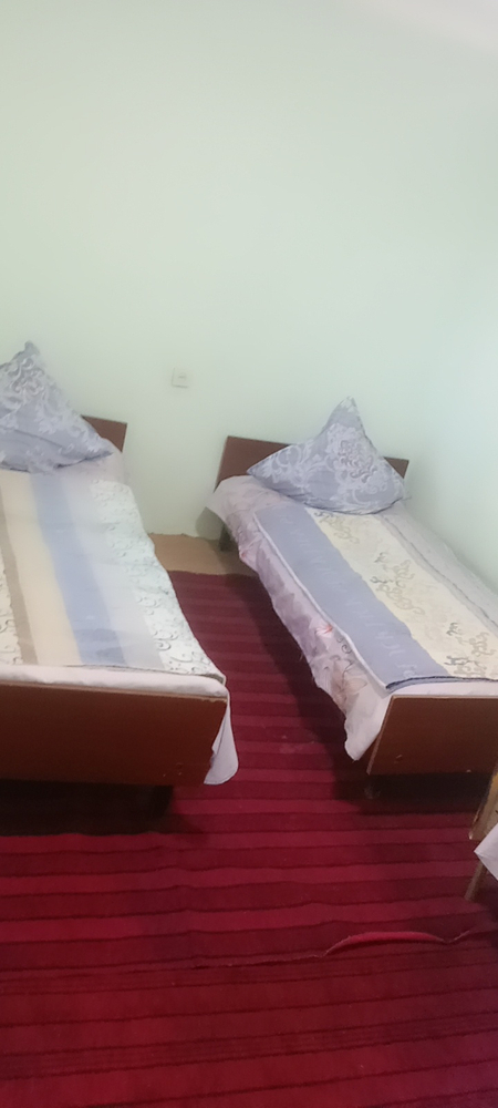 Dacha bor xumsonda