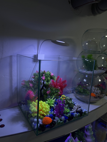 Akvarium Kub Hi Tech