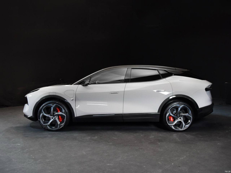 Lotus ELETRE R+ на заказ