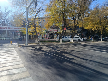 Юнусабад 19 - 120 м2 + большой огород