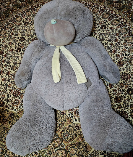 Kotta ayiq sotiladi