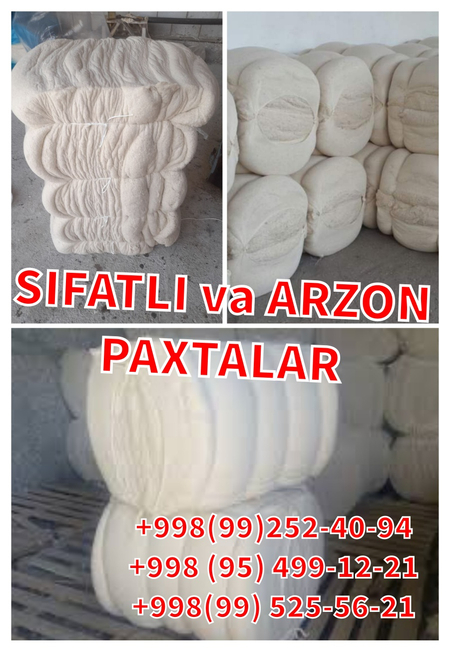 Toy Paxta Arzon va Sifatli
