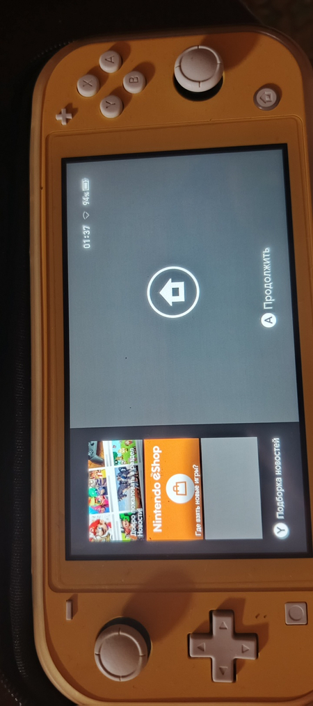 Nintendo switch lite