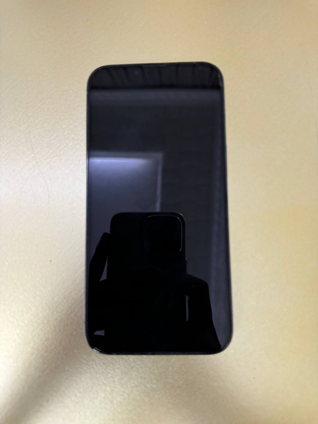 iPhone 13 Pro 256 gb