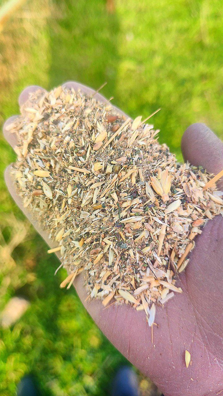 Bug'doy joxori kepak sechka shulxa shrot kunjara silos arpa suli yem