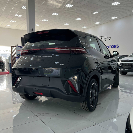 BYD Seagull 2024 FLY EDITION Full 405KM