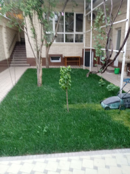 Gazon va archa ekamiz xizmatlar kafolatlangan.