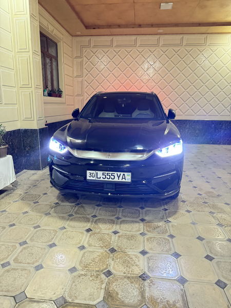 BYD son pulus sotiladi