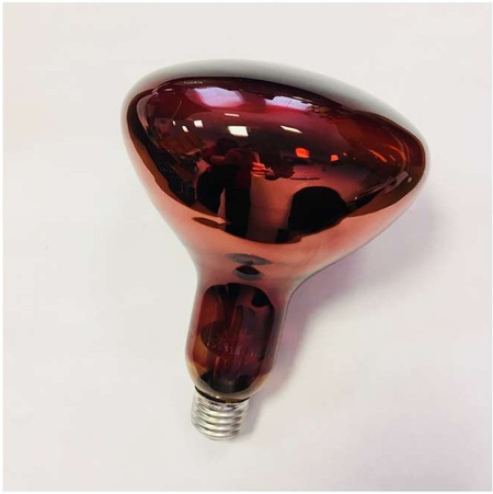 Infra krasniy lampa