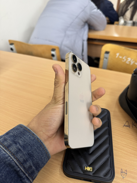 Iphone 13 pro max 256 gb gold
