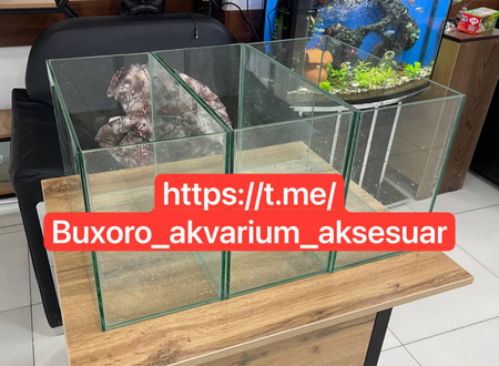 Аквариум заказба тах мекунам