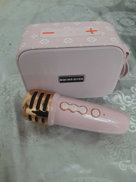 Karnoy mikrofoni bn