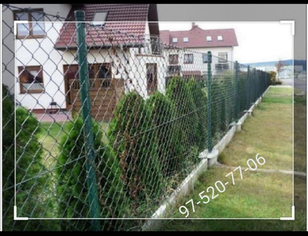 Сетка рябица (сеткалар)