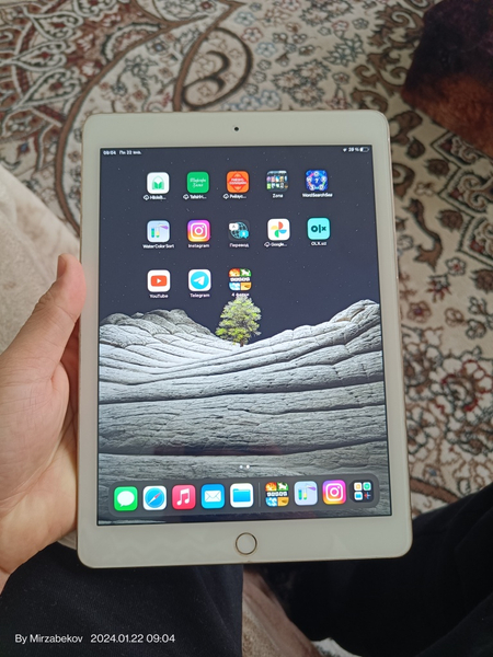 iPad air 2 wifi 16gb