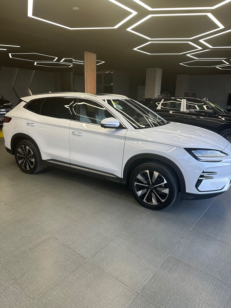 BYD Champion 2025 model
