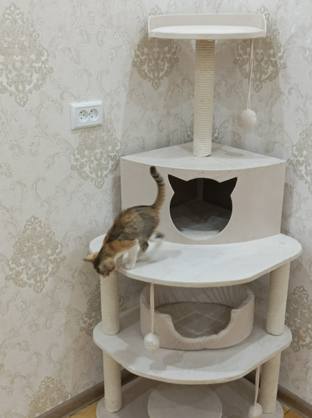 Домик для кошек...
