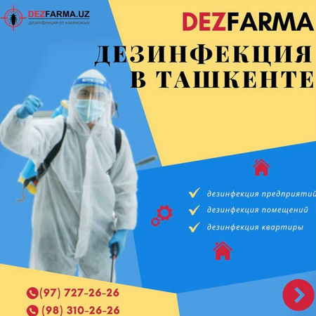 Дезинфекция дизинфекция Уничтожение клопов Dizinfeksiya Dezinfeksiya