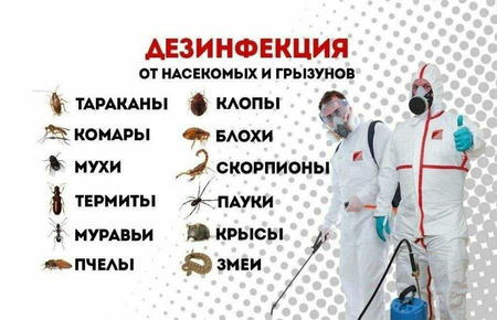 дезинфекция от насекомых