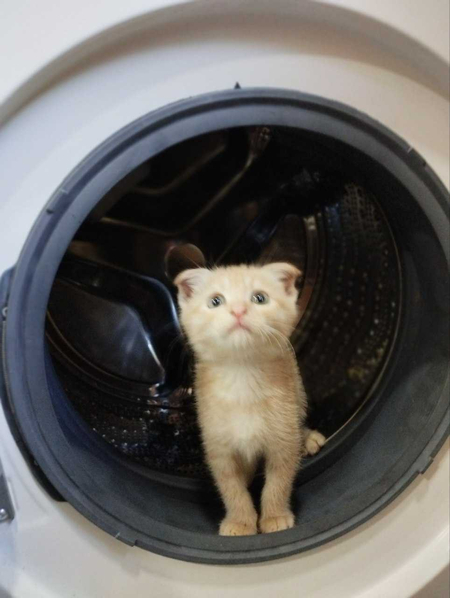 Vi esho ne znayte kak sdelat syurpriz svoim detyam?
