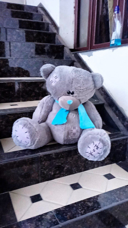 TEDDY BEAR orginal
